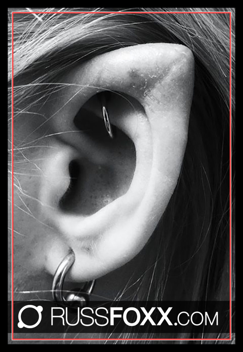 Ear Pointing – Russ Foxx